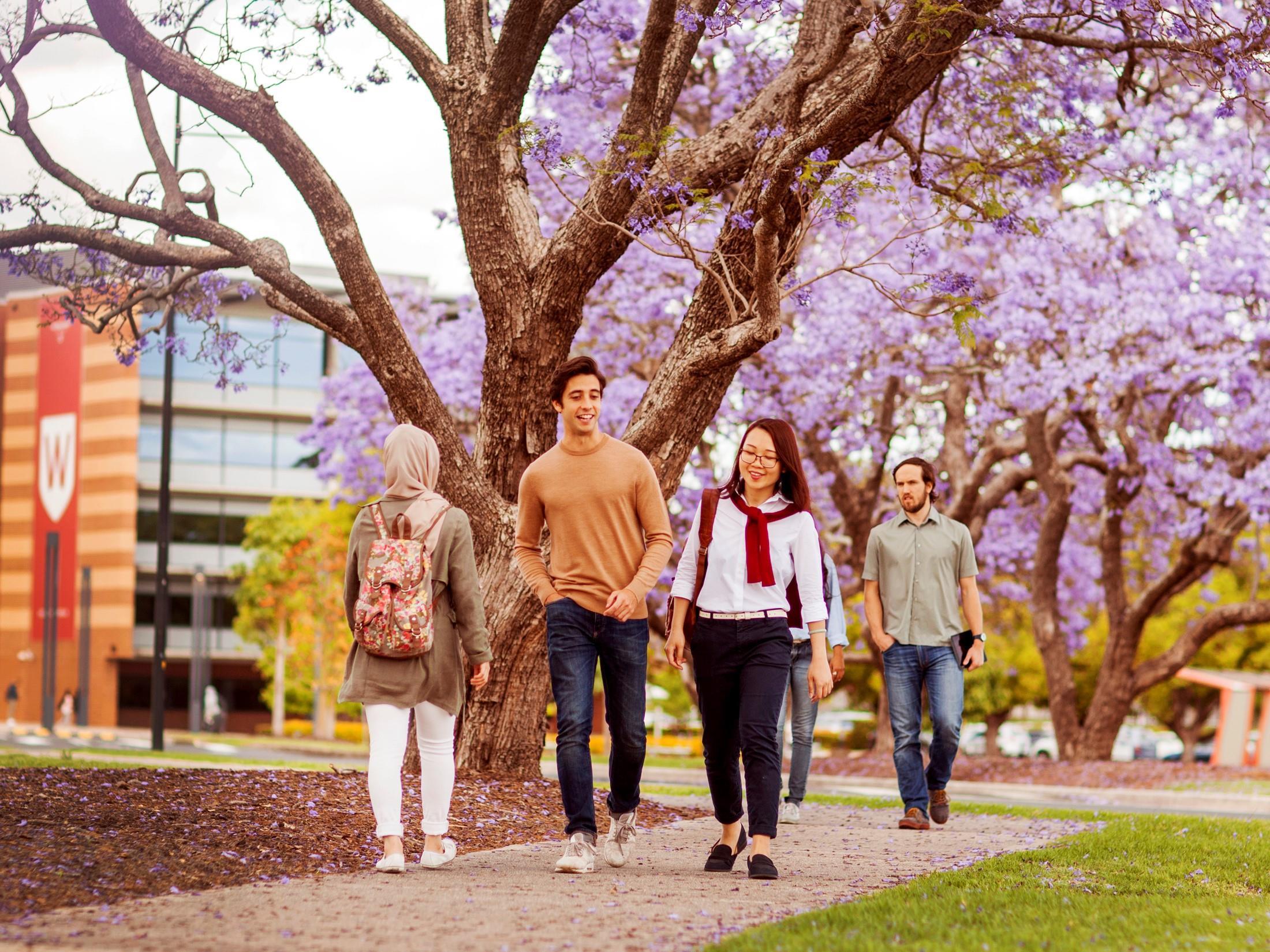 After the hard work of HSC, get your True Reward