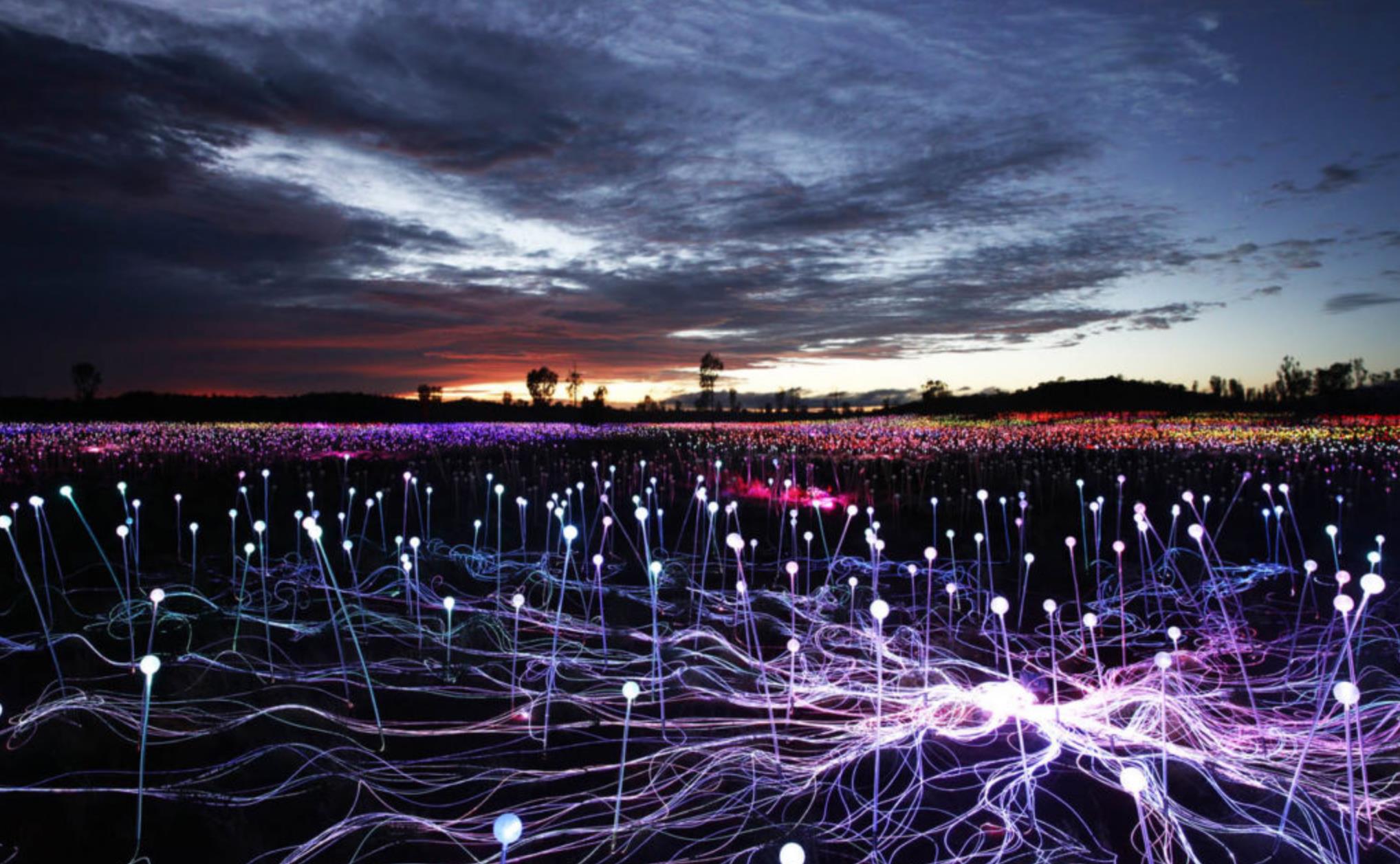 Q&A with public art maestro Bruce Munro