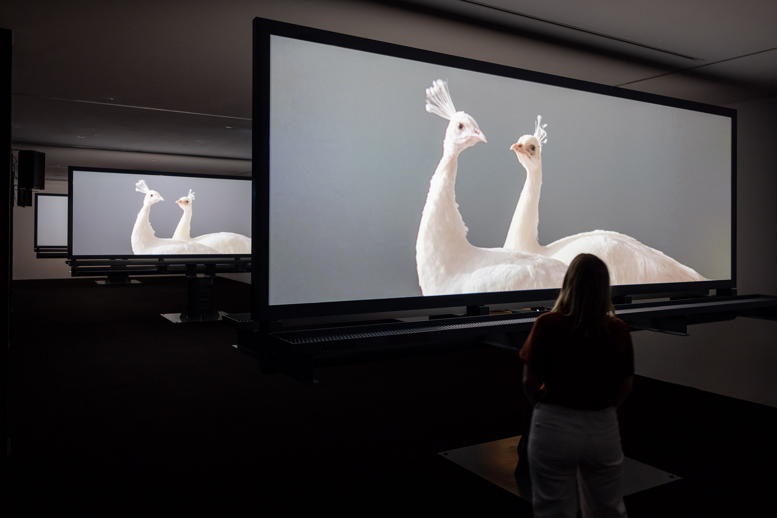 Exhibition Review: Doug Aitken – New Era