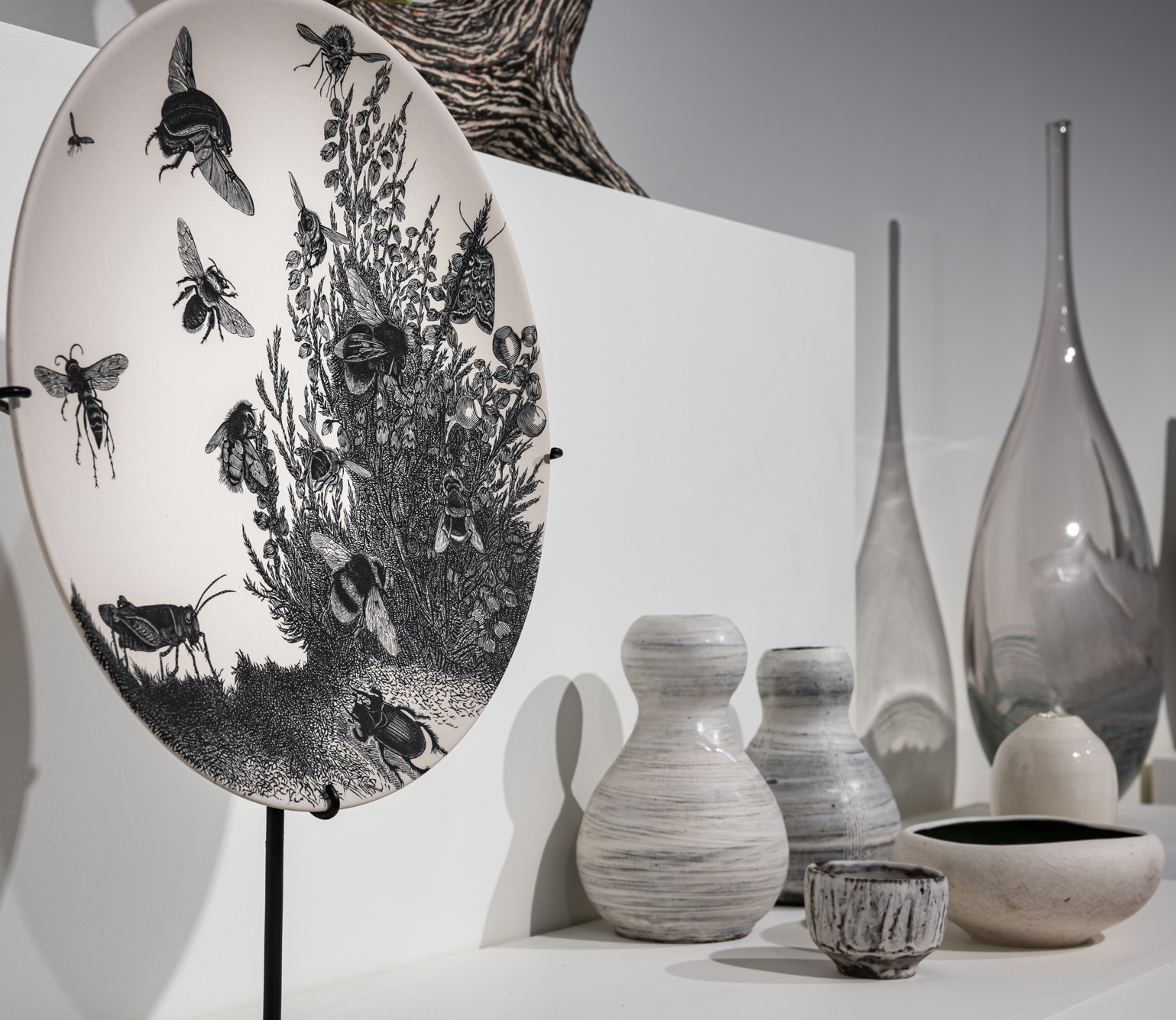 Environmental art prize with global impact