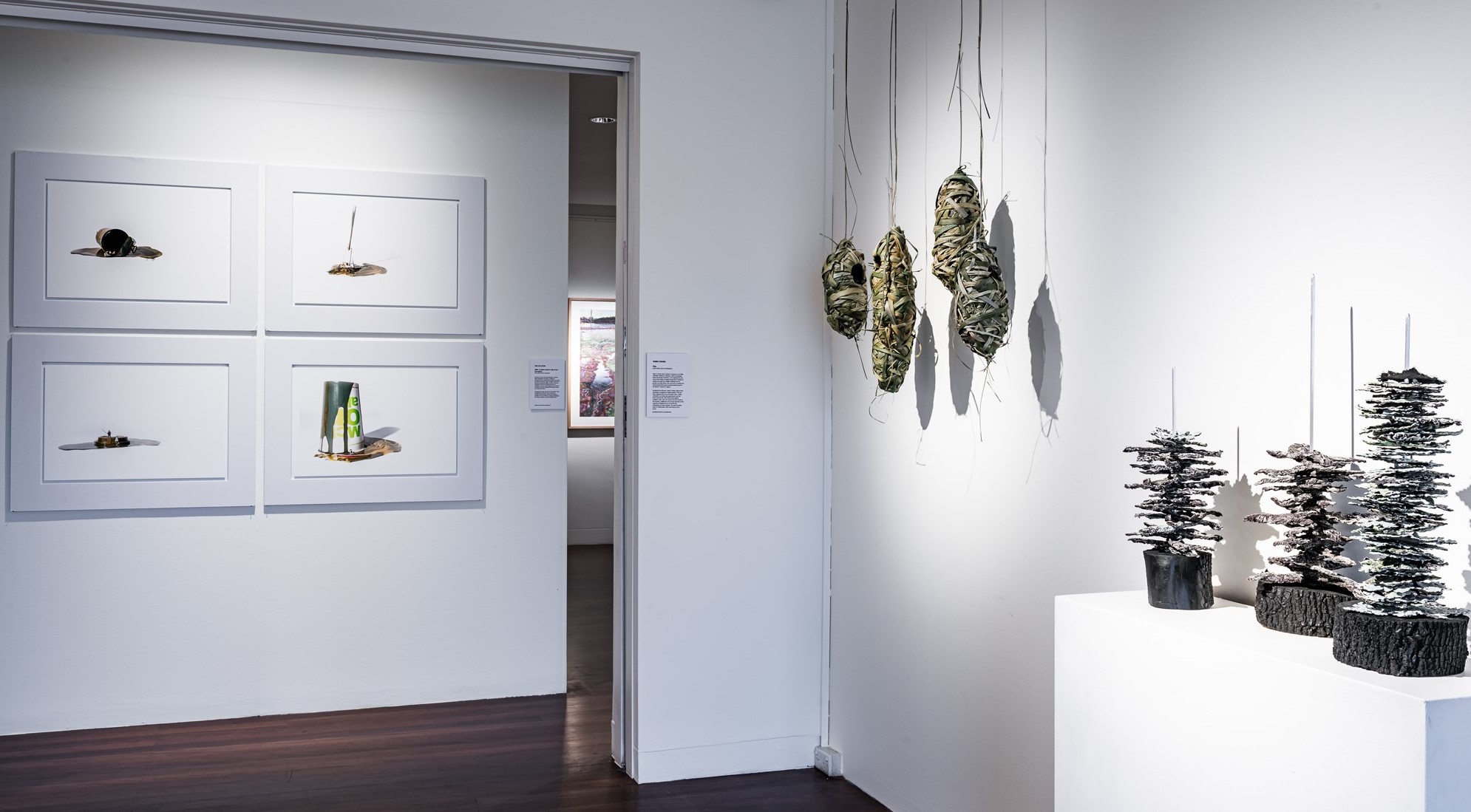 Environmental art prize with global impact