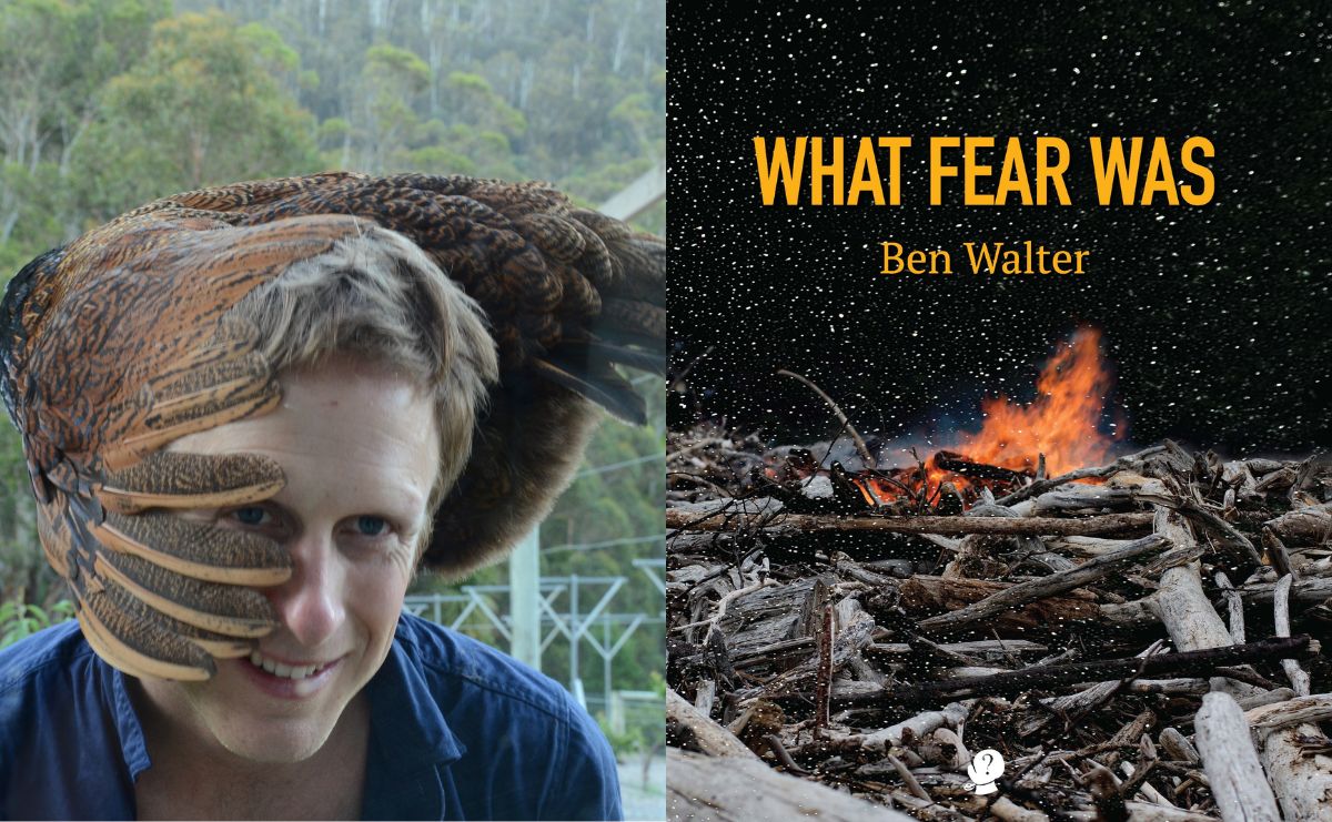Book review: What Fear Was, Ben Walter