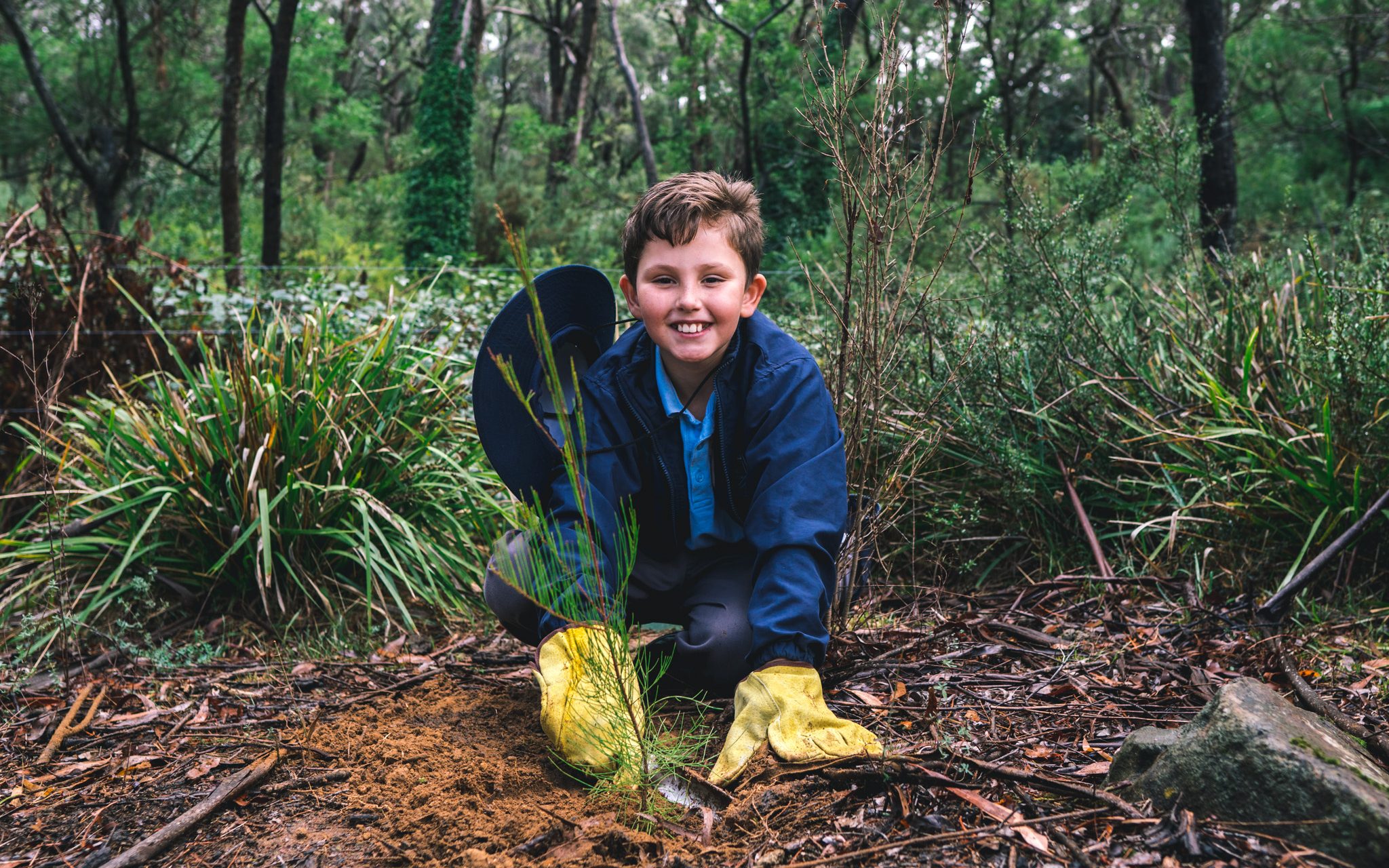 Opportunities and awards