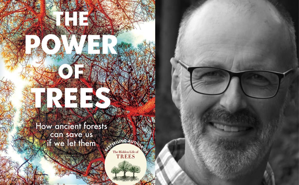 Book review: The Power of Trees, Peter Wohlleben