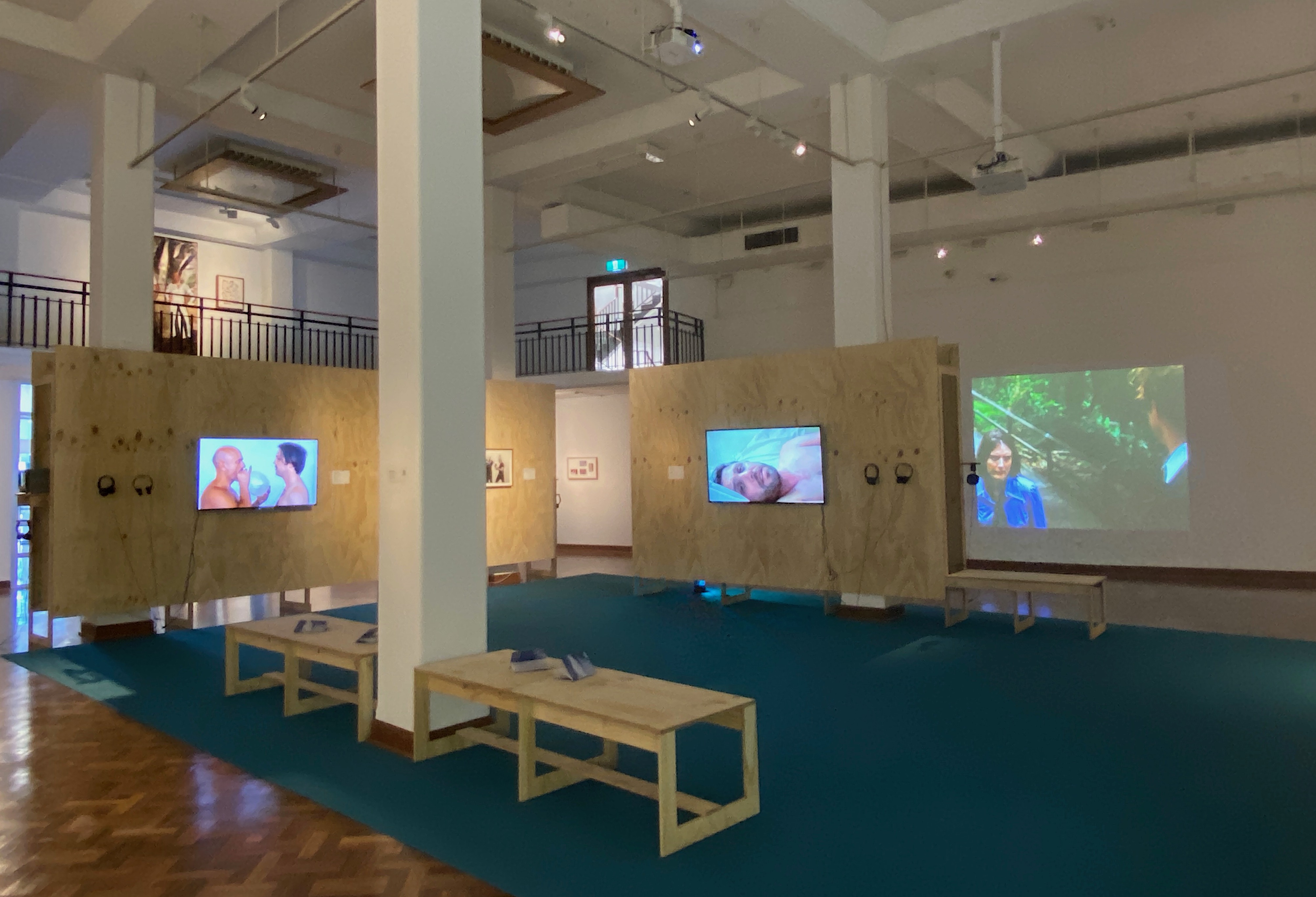 Exhibition review: Daniel Mudie Cunningham, Wollongong Art Gallery