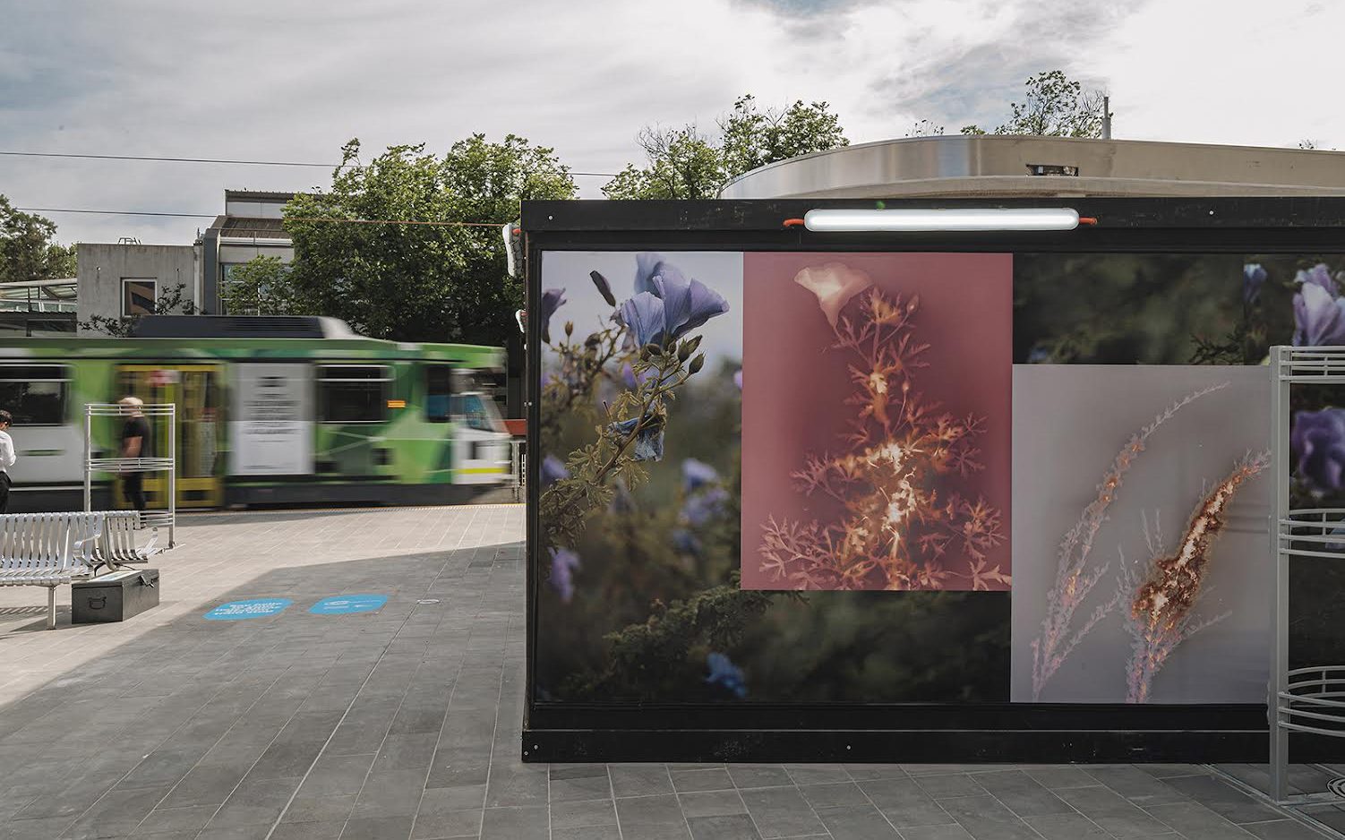 New views on hoarding art