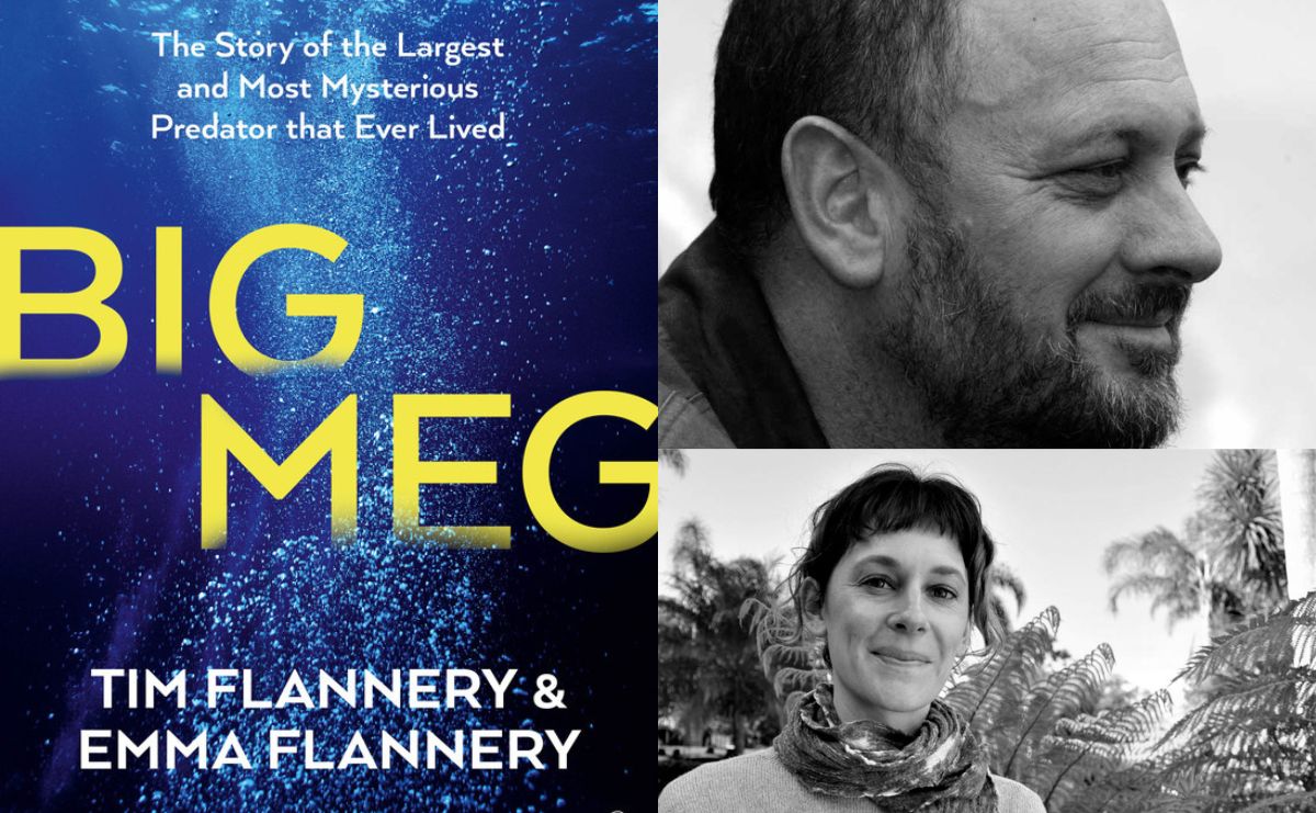 Book review: Big Meg, Tim Flannery and Emma Flannery