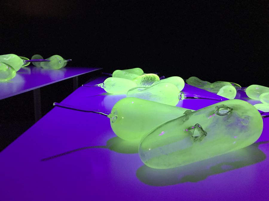 Exhibition review: Yhonnie Scarce: The Light of Day, Art Gallery of WA