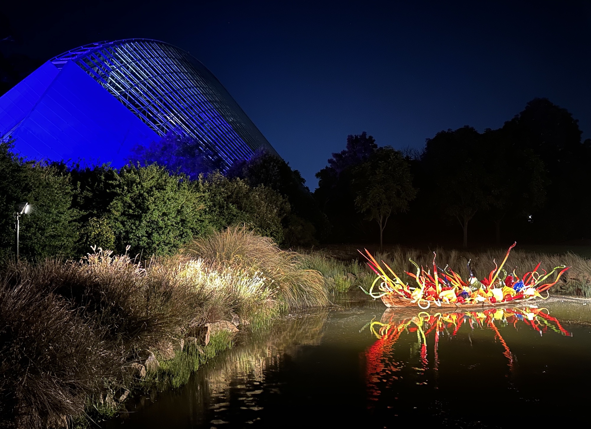 Exhibition review: Chihuly in the Botanic Garden, Adelaide Botanic Garden